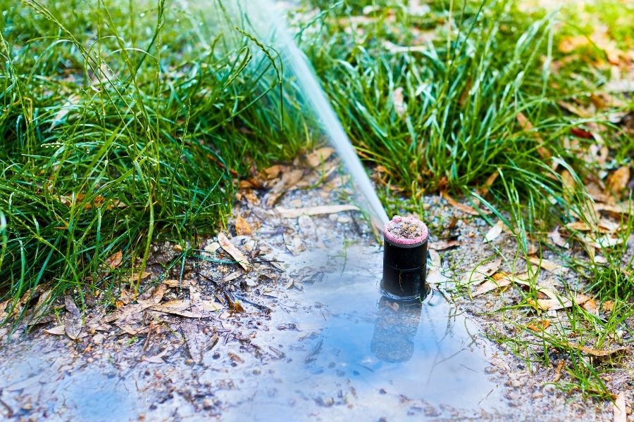 Water Leak in Yard Who to Call - Leak Experts USA